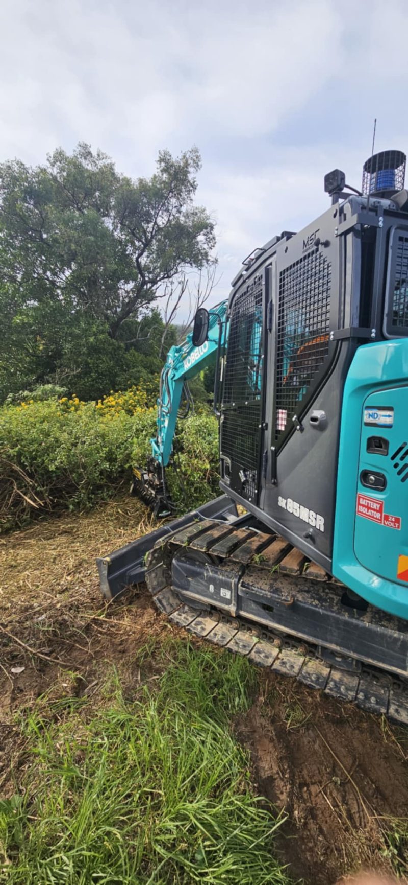 forest mulching • Arbor Earth